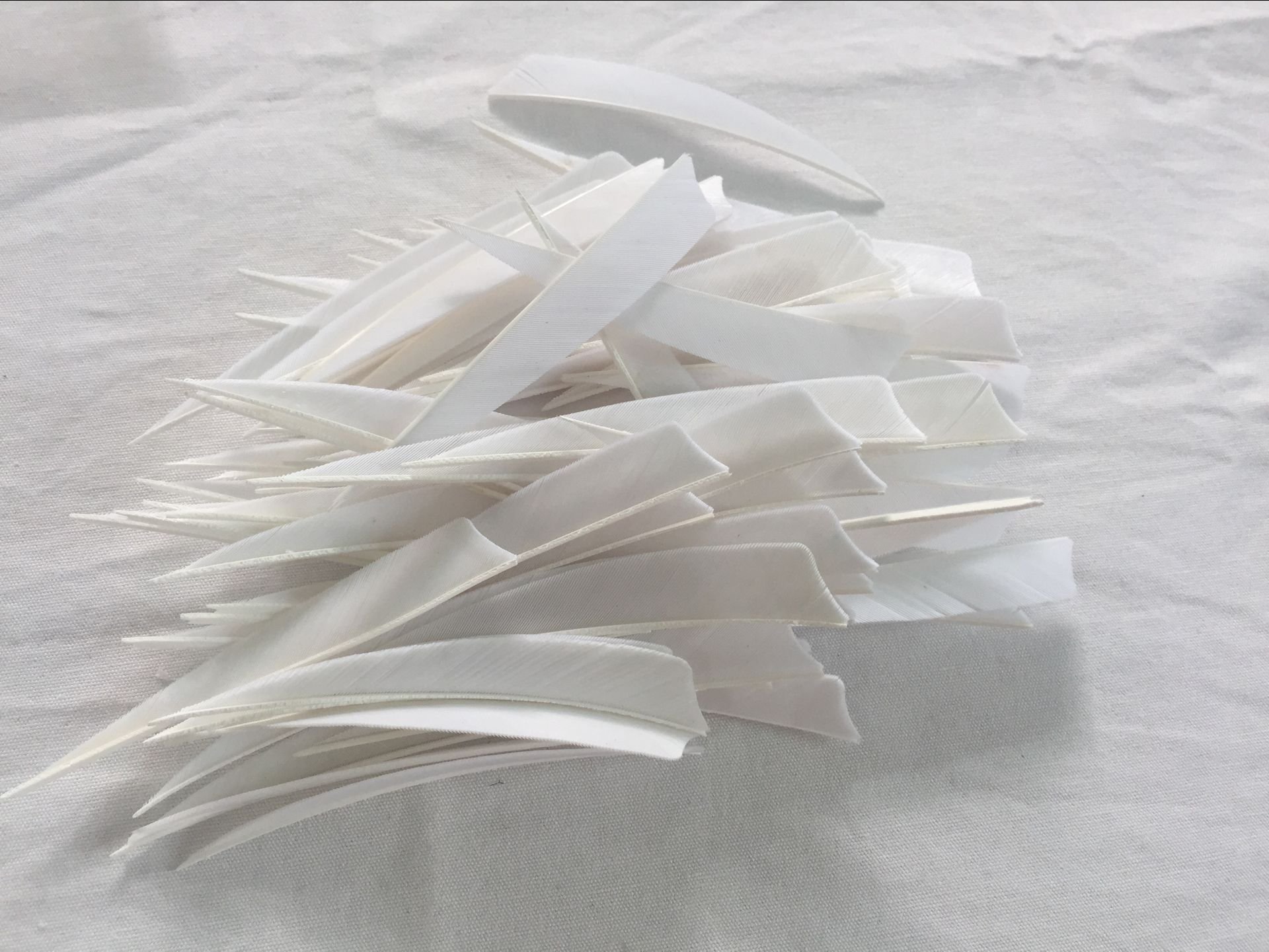 JIEXI HWYP Archery Fletches 4" Turkey Feather Fletching Shield Shape Pack of 100 (White, Right Wing)