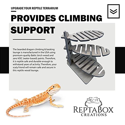 Reptabox Creations Spiral Bearded Dragon Wood Lounge - Perfect Climbing & Basking Perch for Bearded Dragons Uromastyx and Gecko | Ideal Bearded Dragon Tank Accessory (15" x 13" 11")