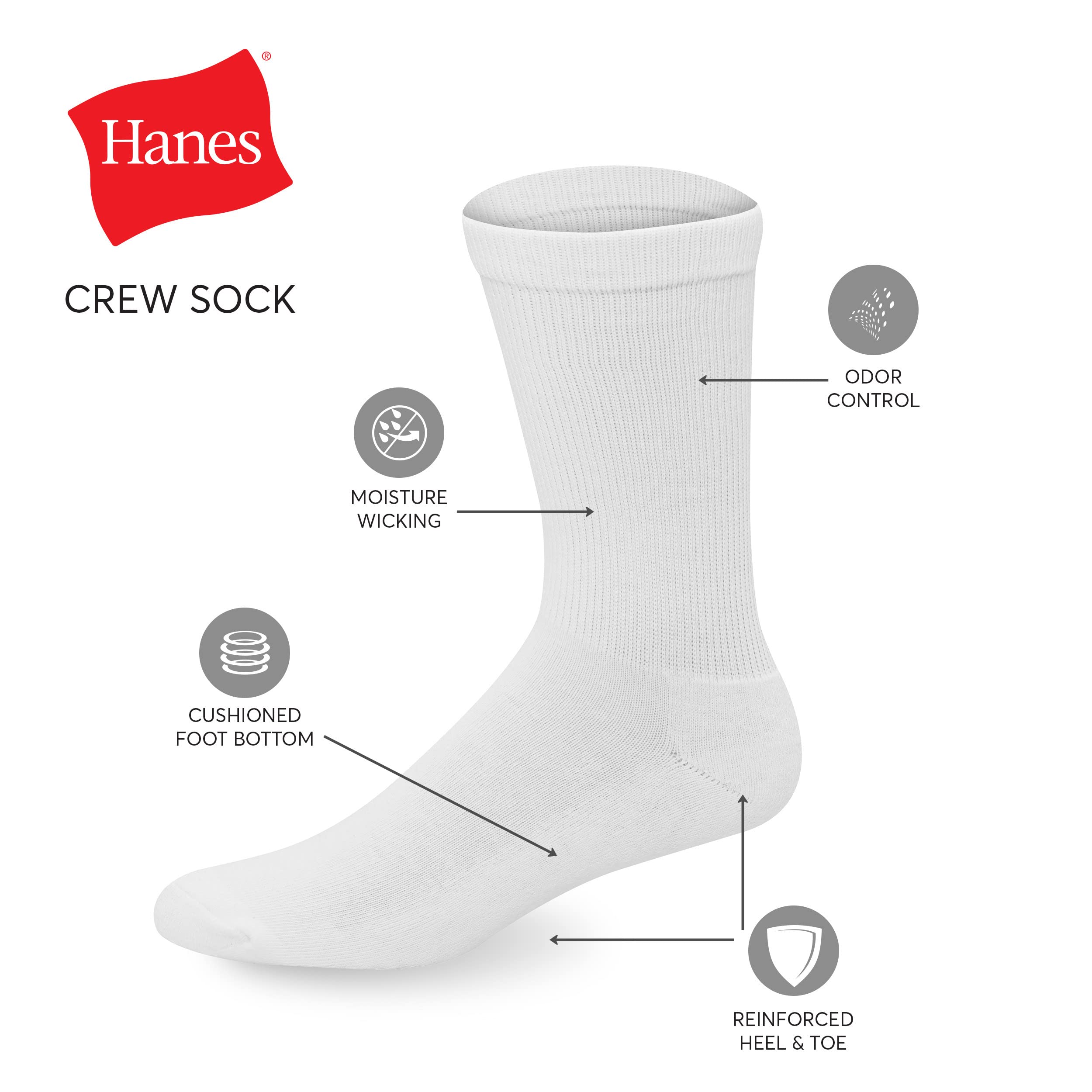 Hanes mens Hanes Men's X-temp Cushioned Crew (Pack of 12 Pairs) Casual Sock, White, 14 US