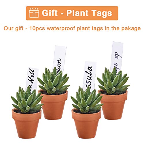 Riseuvo 32pcs Small Mini Clay Pots - 2'' Terracotta Pot Clay Ceramic Pottery Planter, Cactus Flower Terra Cotta Pots, Succulent Nursery Pots, with Drainage Hole, for Indoor/Outdoor Plants, Crafts