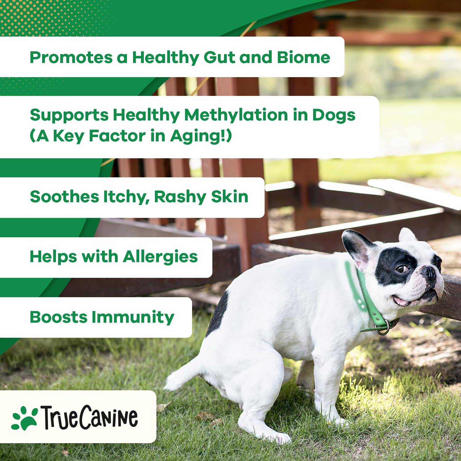 Wild Belly and New Flex TrueCanine - Probiotics and Joint Supplement for Dogs