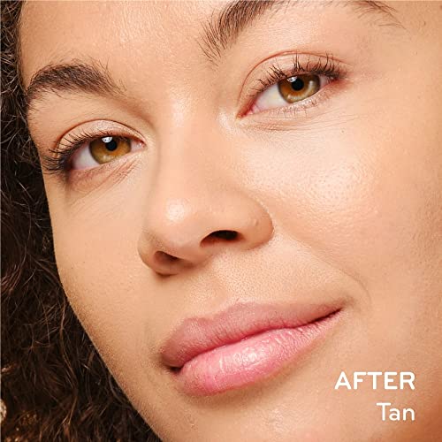 pūrlisse BB Concealer - BB Cream for All Skin Types - Oil-Free Moisturizing, Smooths Blemishes - .34 Ounce (Light)