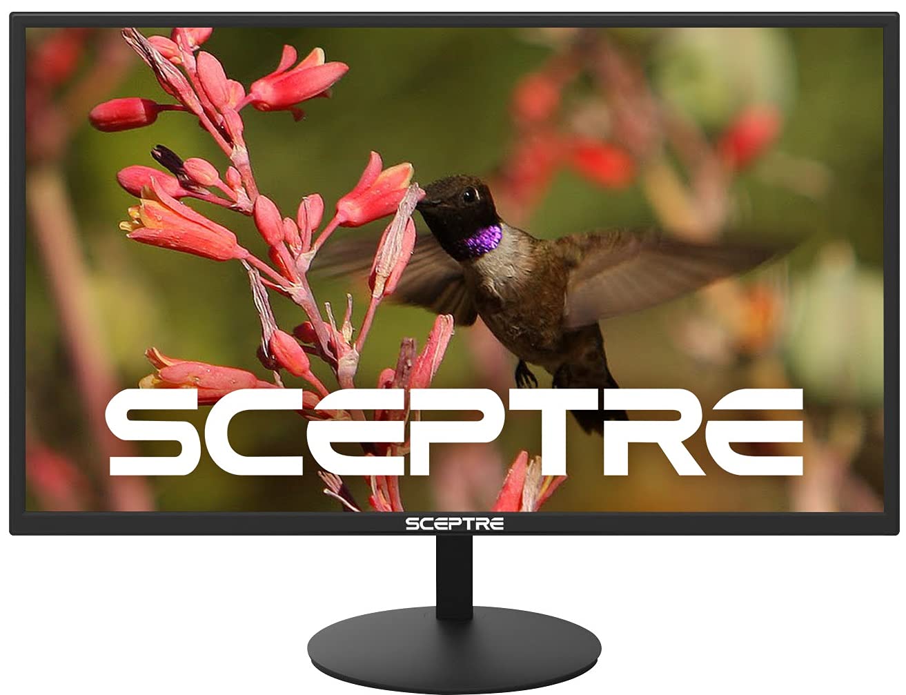 Sceptre 27 inch 1080P LED Monitors (E275W-19203R Series) and (E275W-FPT)