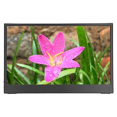Shanrya Portable Laptop Monitor, Double Speaker 13.3 Inch External Screen Ultra Slim 1440P IPS HDR Type C for Phones for Travel (US Plug)