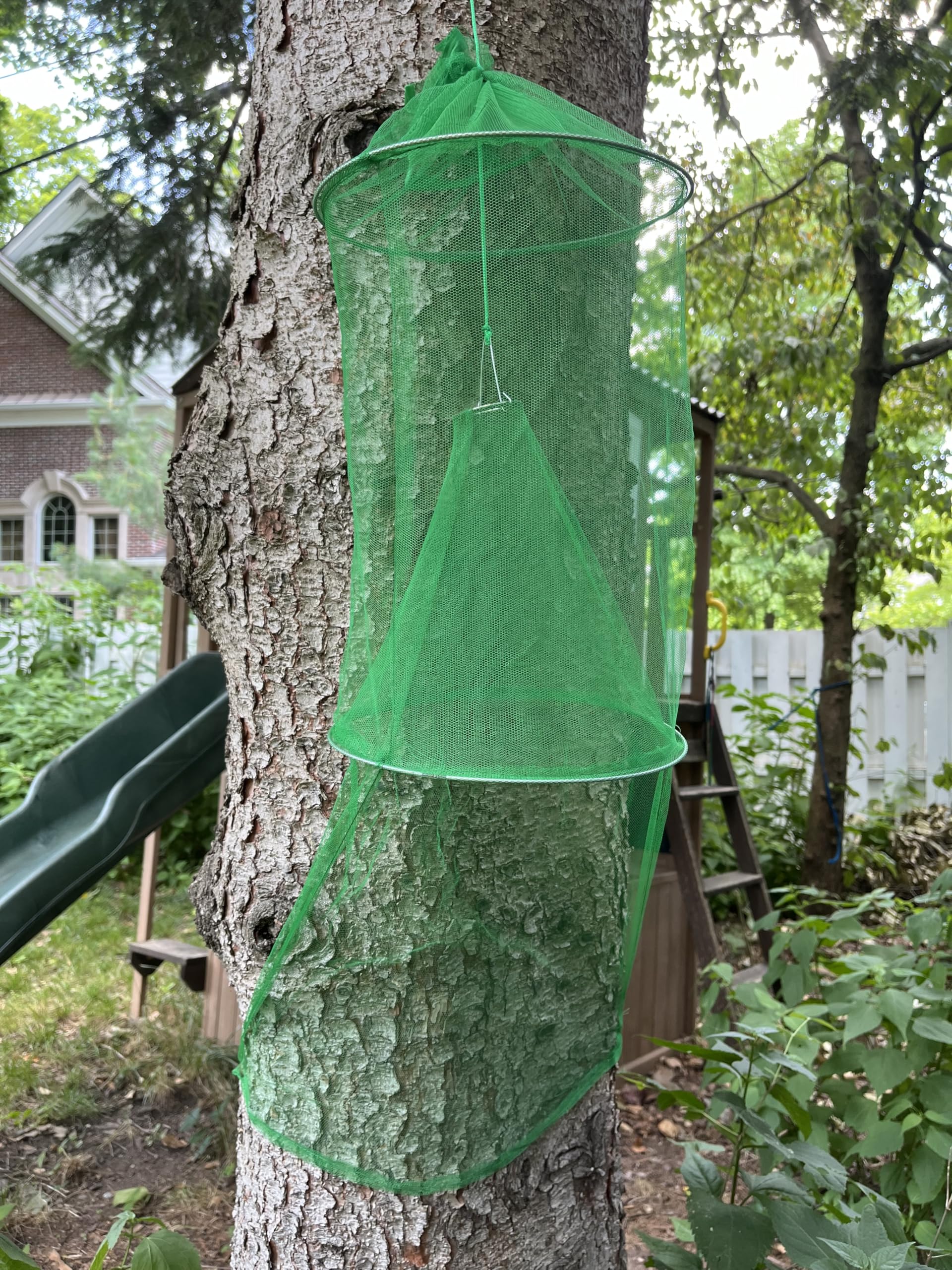 Spotted Lanternfly Mesh House Trap SLF. Simple and Effective Way to Catch Lantern Flies and Nymphs., Green