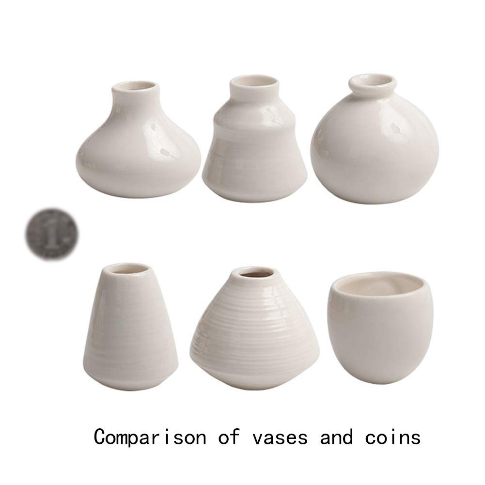 Pearlead Set of 6 Magnetic Mini Ceramic Vase Refrigerator Magnets Sticker Fridge Whiteboard Magnets for Home and Office Refrigerator Decoration