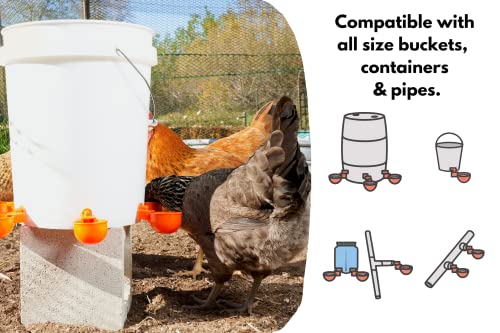 Roosty's® Chicken Waterer Cups x6 - Chicken Water Feeder Kit, Make Large Chicken Waterer 5 Gallon DIY Chicken Supplies, Chicken Water Cups, Duck Quail Waterer - Bebederos Para Gallinas,Poultry Waterer