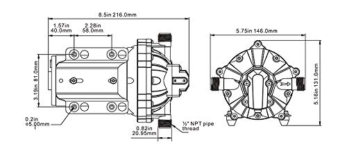 SEAFLO 55-Series Washdown Pump Kit - 12V DC, 5.5 GPM, 70 PSI