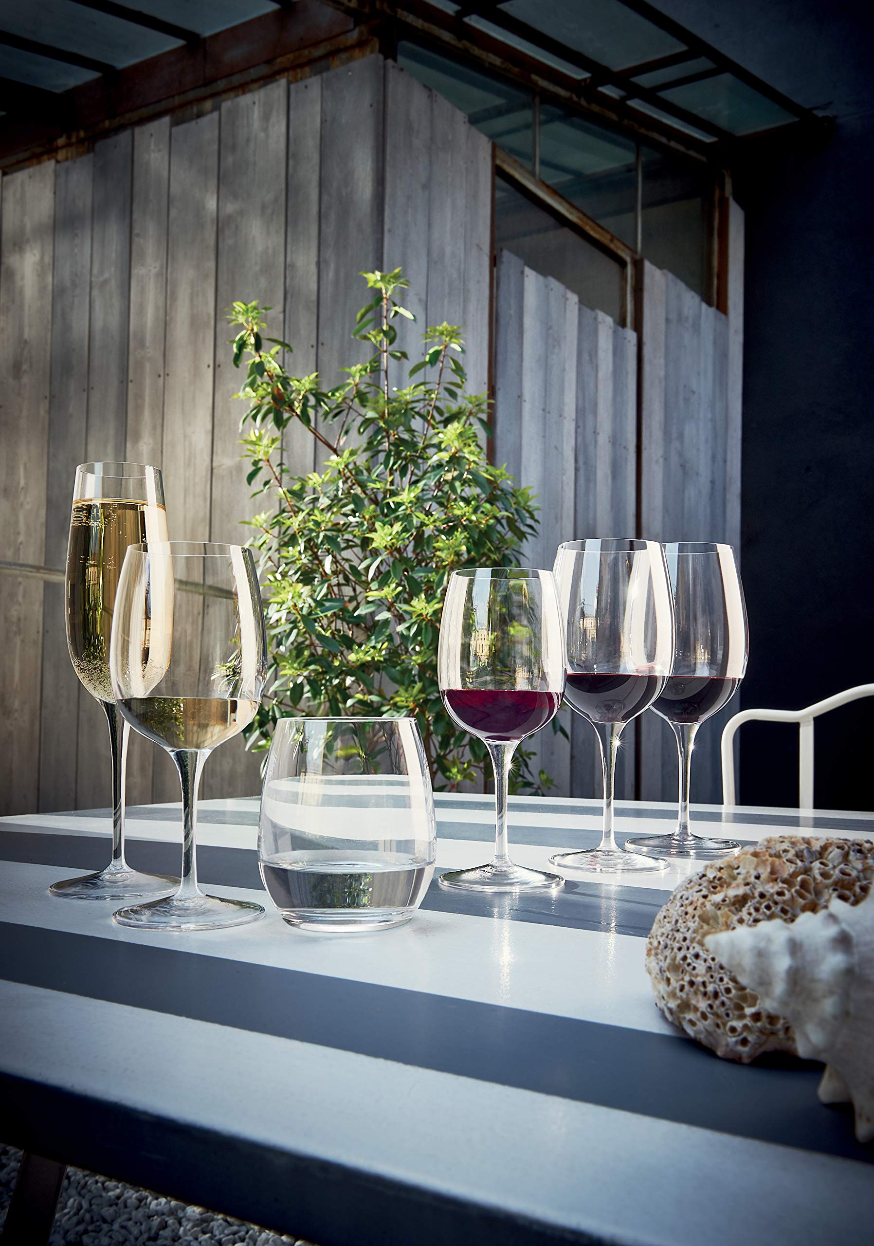 Luigi Bormioli Palace 20 oz Grand Vini Wine Glasses (Set Of 6), Clear