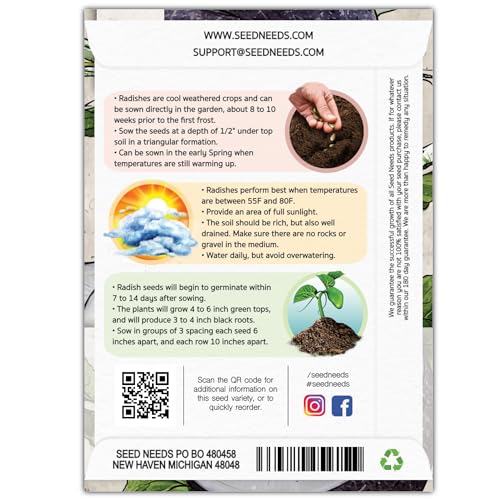 Seed Needs, Black Spanish Radish Seeds - 500 Heirloom Seeds for Planting Raphanus sativus - Non-GMO & Untreated (2 Packs)