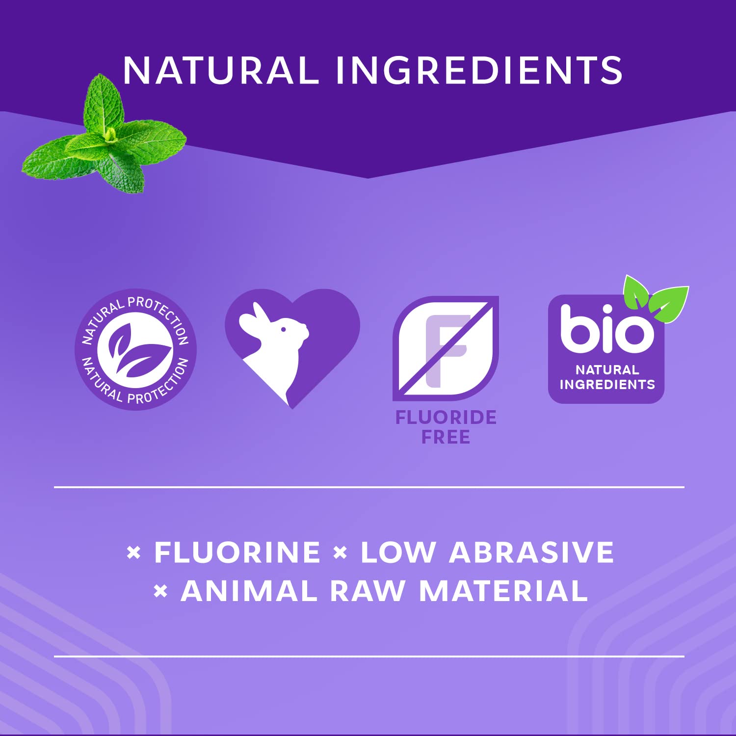 R.O.C.S. PRO Toothpaste - Non-Fluoride Oral Care for White Teeth, Healthy Gums (Electro, Pack of 1)