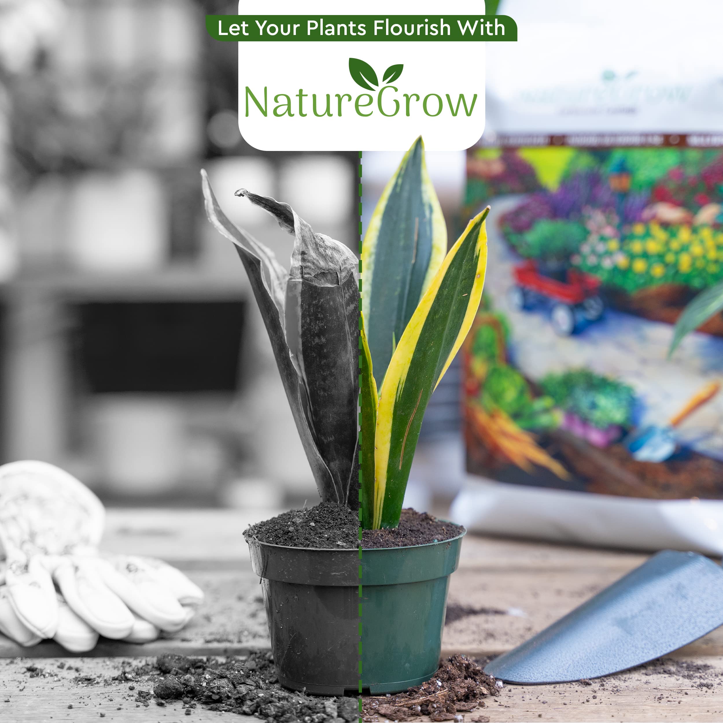 NatureGrow Earth Worm Castings-10lb - Worm Castings Organic, Plant Fertilizer, Earthworm Castings - Pure Worm Castings for Gardening, Organic Worm Casting