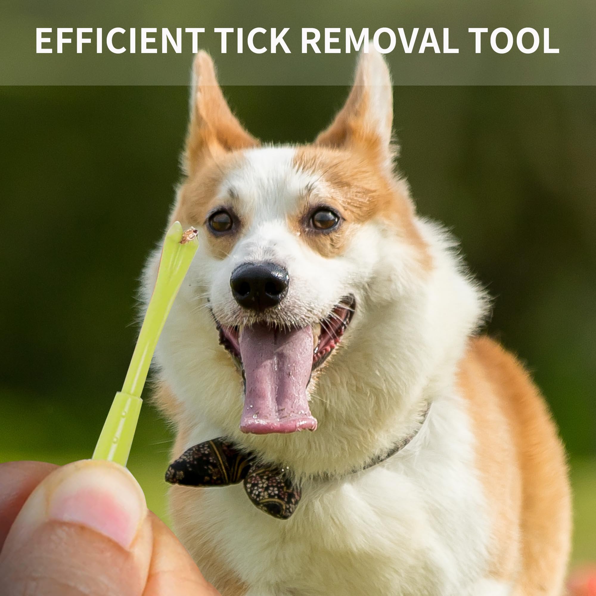 Yogini Tick Removal Tool for Dogs Cats and Humans 2 Packs,Pain Free Tick Puller,Ultra-Safe Tick Tweezers with Small and Large (Set of 2 Packs) (1 Set)