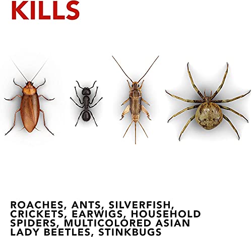 Raid Ant and Roach Killer, Fragrance Free, 17.5 OZ