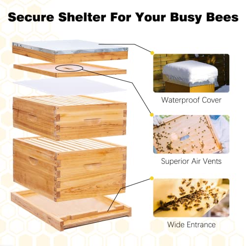 POLLIBEE 10 Frame Beehive Starter Kit, Beeswax Coated Bee Hives Includes 1 Deep Bee Boxes and 1 Bee Hive Super with Beehive Frames and Beeswax Foundation