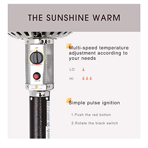 Patiomore Outdoor Propane Heater Patio Tall Standing Heater, 48000 BTU, Smooth Black