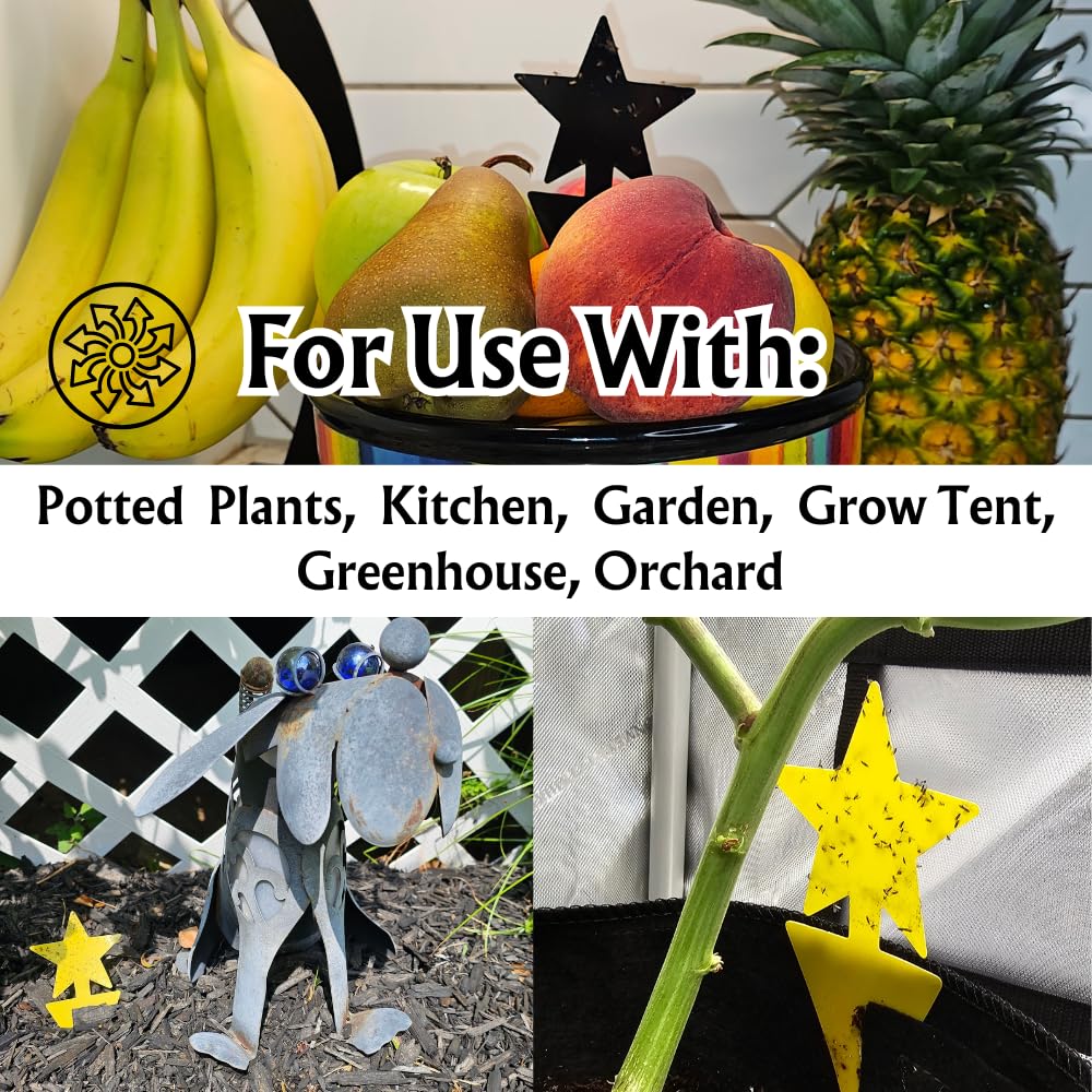 Super Nova & Co. 30pk Sticky Fruit Fly Traps Star-Shaped Indoor Plants Outdoor Garden Double-Sided Adhesive Flying Gnat Insect Pest Management Catcher Non Toxic Odorless Waterproof UV-Resistant 3x5β