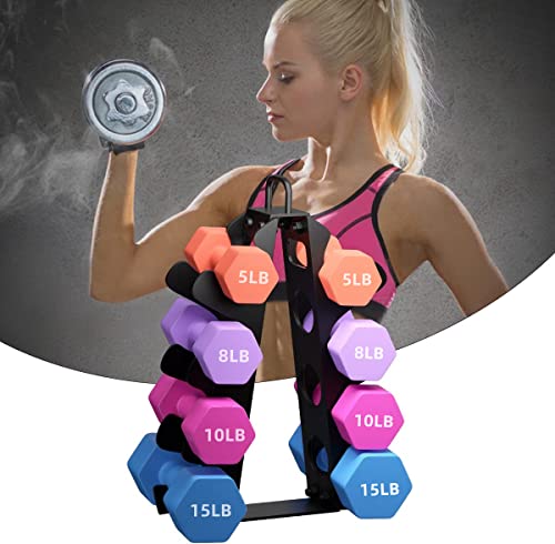 Weight Rack for Dumbbells (Dumbbells Not Included), EXBTOKA Upgraded Dumbbell Rack with Handle, 4 Tier Dumbbell Rack Stand Only, Compact A-Frame Dumbbell Rack, Suitable for Home Gym