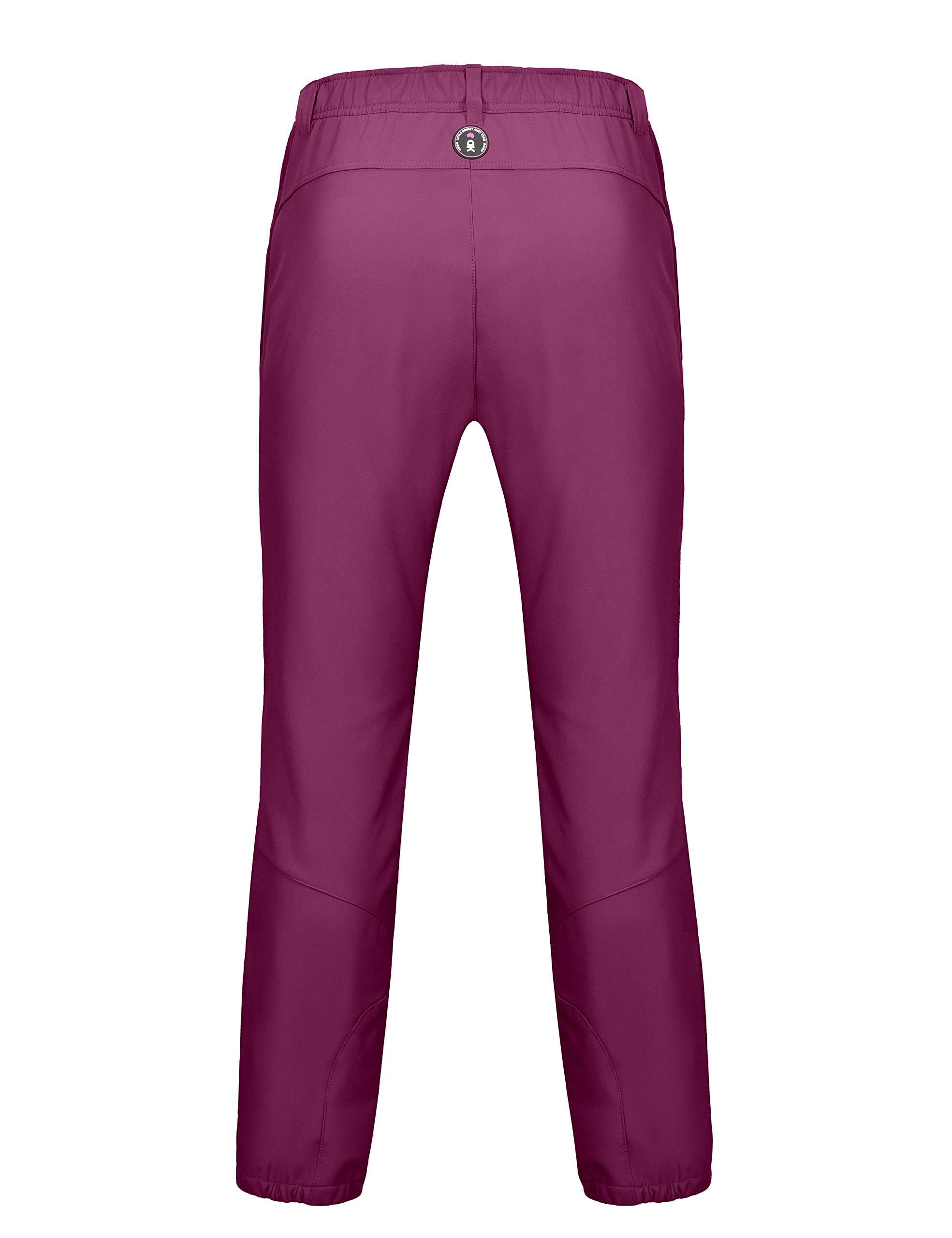 Little Donkey Andy Women’s Winter Hiking Ski Snowboarding Pants, Softshell Pants, Fleece Lined and Water Repellant Purple M