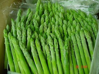 Semi e le cose Mary Washington Asparagi 200 semi freschi Pack-