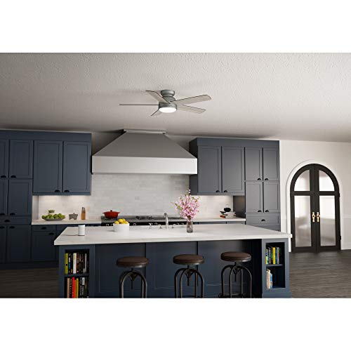Hunter Fan Company 59483 Hunter Romulus Indoor Low Profile WiFi Ceiling Fan with LED Light and Remote Control, 54, Matte Silver Finish