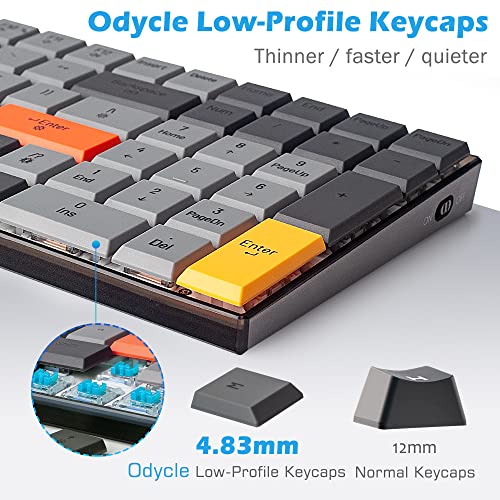 Odycle Low Profile Mechanical Keyboard, 99 Keys Triple-Mode 2.4G/USB-C/Bluetooth Wireless Mechanical Keyboard with RGB Backlit, Compatible with Windows and Mac OS Systems, Blue Switch,Black