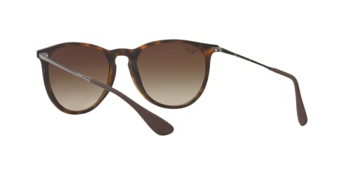 Ray-Ban RB4171 Erika 865/13 54mm Rubber Havana/Brown Gradient Sunglasses for Woman + VISIOVA Accessories Bundle Kit