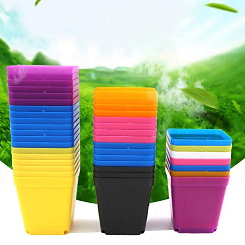 qiguch66 Small Plant Pots,10Pcs Bonsai Planter Nursery Flower Pot Garden Square Home Plastic Decor Supply - Red