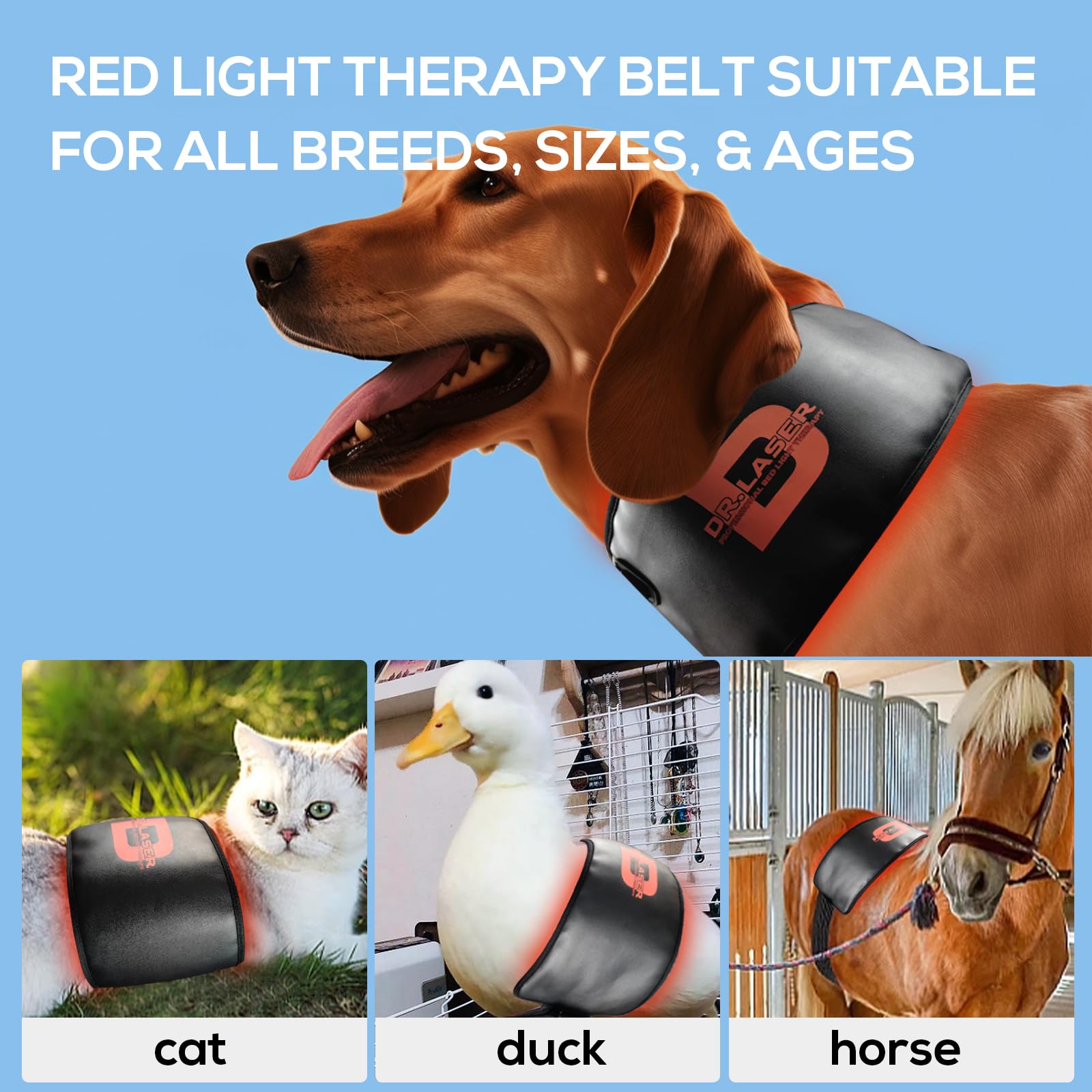 Vicmama Red Light Therapy Belt for Pets,Portable Wearable Red Light Therapy Device for Dogs Pain Relief Tissue Repair Muscle & Joint Pain