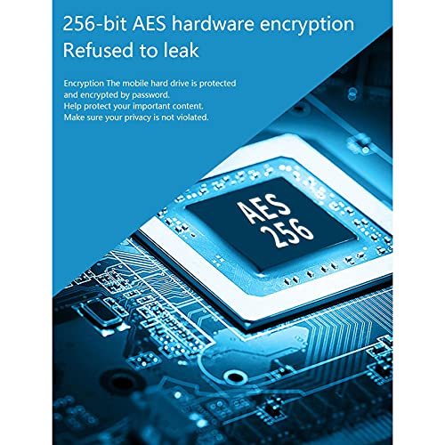 Shevan 256G SSD Type C Digital Encryption M.2 SSD Solid State Drive Encryption Super-Speed for Laptop Desktop
