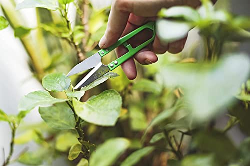 R&R SHOP Precision Scissors Kit - Trimming, Bonsai Pruning, Special Precision Grip, Small Scissors - Set of 3