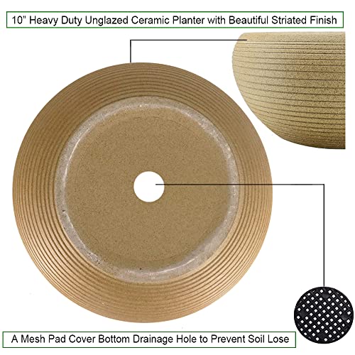 MUZHI 10” Round Large Ceramic Bonsai Bowl Planter,Clay Succulent Plant Pot Container with Saucer