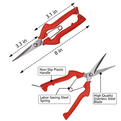 Pruning Shears Garden Clippers Plant Trimming Scissors Branch Bypass Bonsai Hand Pruners Rose Flower Hedge Tree Plant Cutter Small Pofessional Snips Stainless Steel Gardening Tools