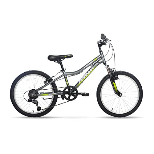 Piranha Frenzy 20 inch Kid's Bicycle, Slate Grey