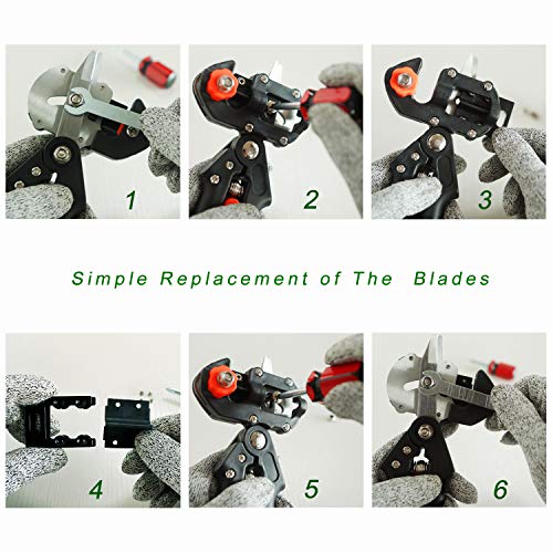 PUELDU Grafting Tool, Pruner Kit, Including Replacement Blades,Grafting Knife,Grafting Tapes,Plant Labels&Garden Clips,Perfect for Fruit Tree Grafting