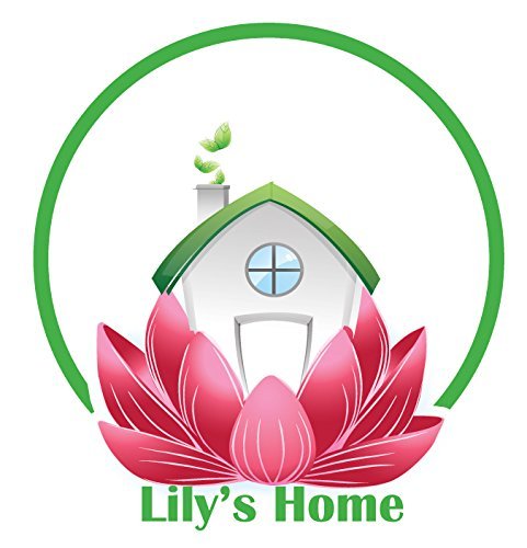 Lily's Home Retro Kitchen Wall Clock, with a Thermometer and 60-Minute Timer, Ideal for Any Kitchen, Turquoise (9.5 in x 13.3 in)