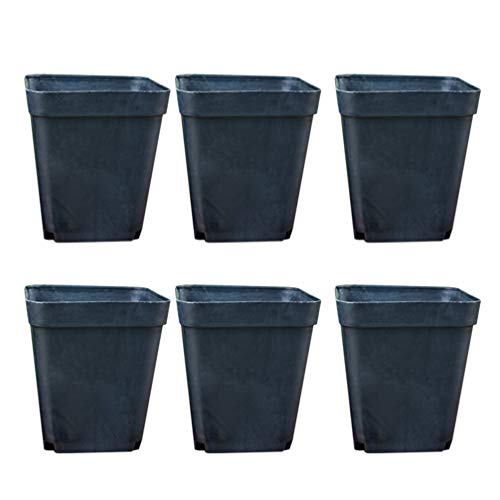NUOBESTY 2 Inch Black Square Flower Pots Small Plastic Plant Pots 100PCS Square Flower Plant Pots Mini Succulent Pot for Cactus Bonsai
