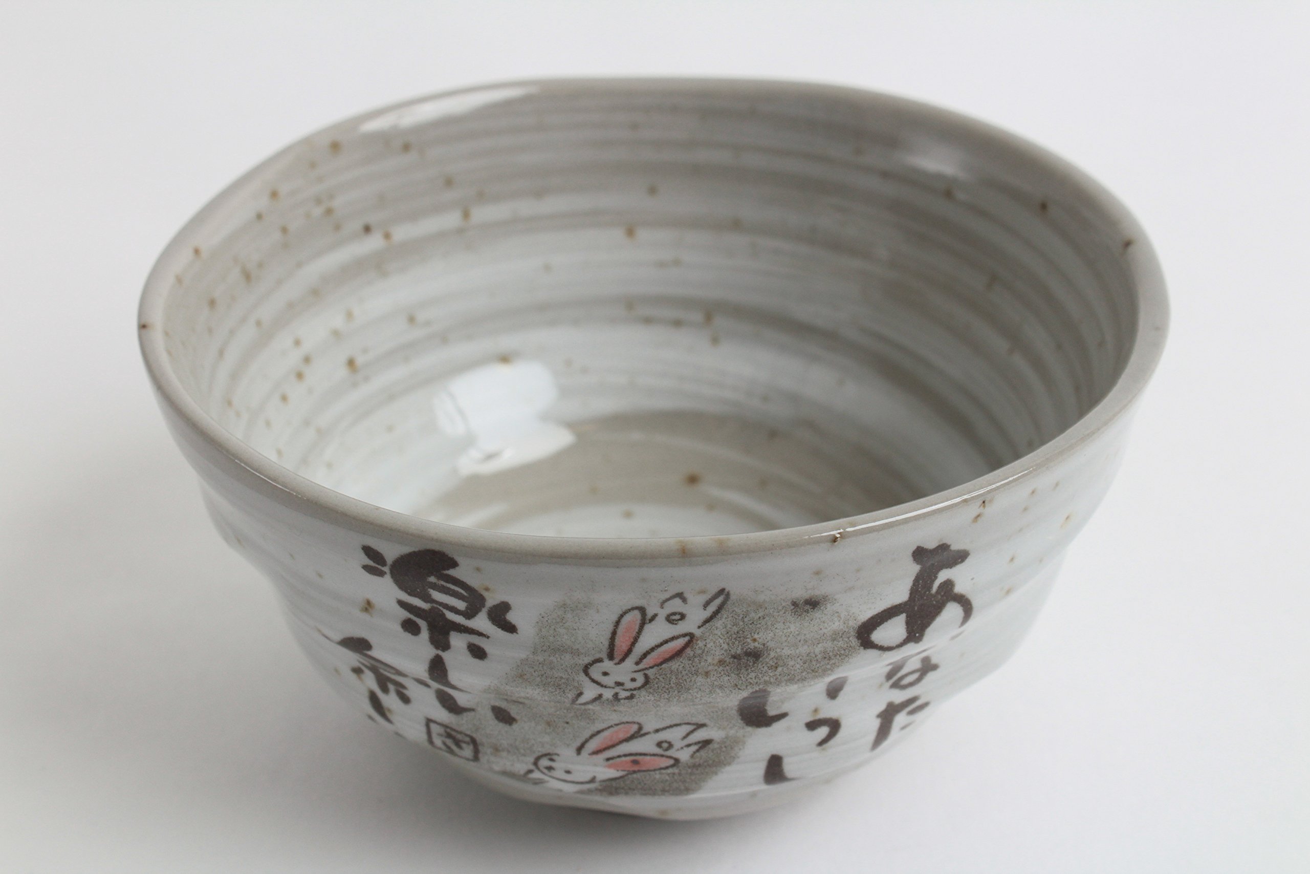 Mino ware Japanese Pottery Rice Bowl Running Rabbits Gray Sanaegama made in Japan (Japan Import) KSC002