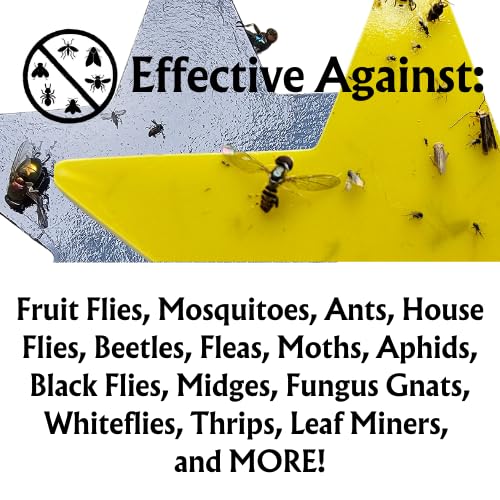 Super Nova & Co. 30pk Sticky Fruit Fly Traps Star-Shaped Indoor Plants Outdoor Garden Double-Sided Adhesive Flying Gnat Insect Pest Management Catcher Non Toxic Odorless Waterproof UV-Resistant 3x5β