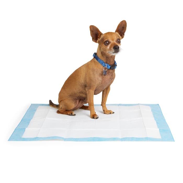 So Phresh Essentials Potty Pads, Count of 150