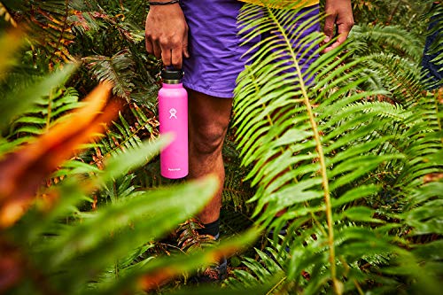 Hydro Flask 21 oz. Water Bottle - Stainless Steel, Reusable, Vacuum Insulated with Standard Mouth with Sport Cap , Carnation