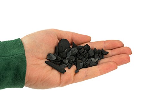 Sprig & Stone Horticultural Charcoal (4 Quarts)