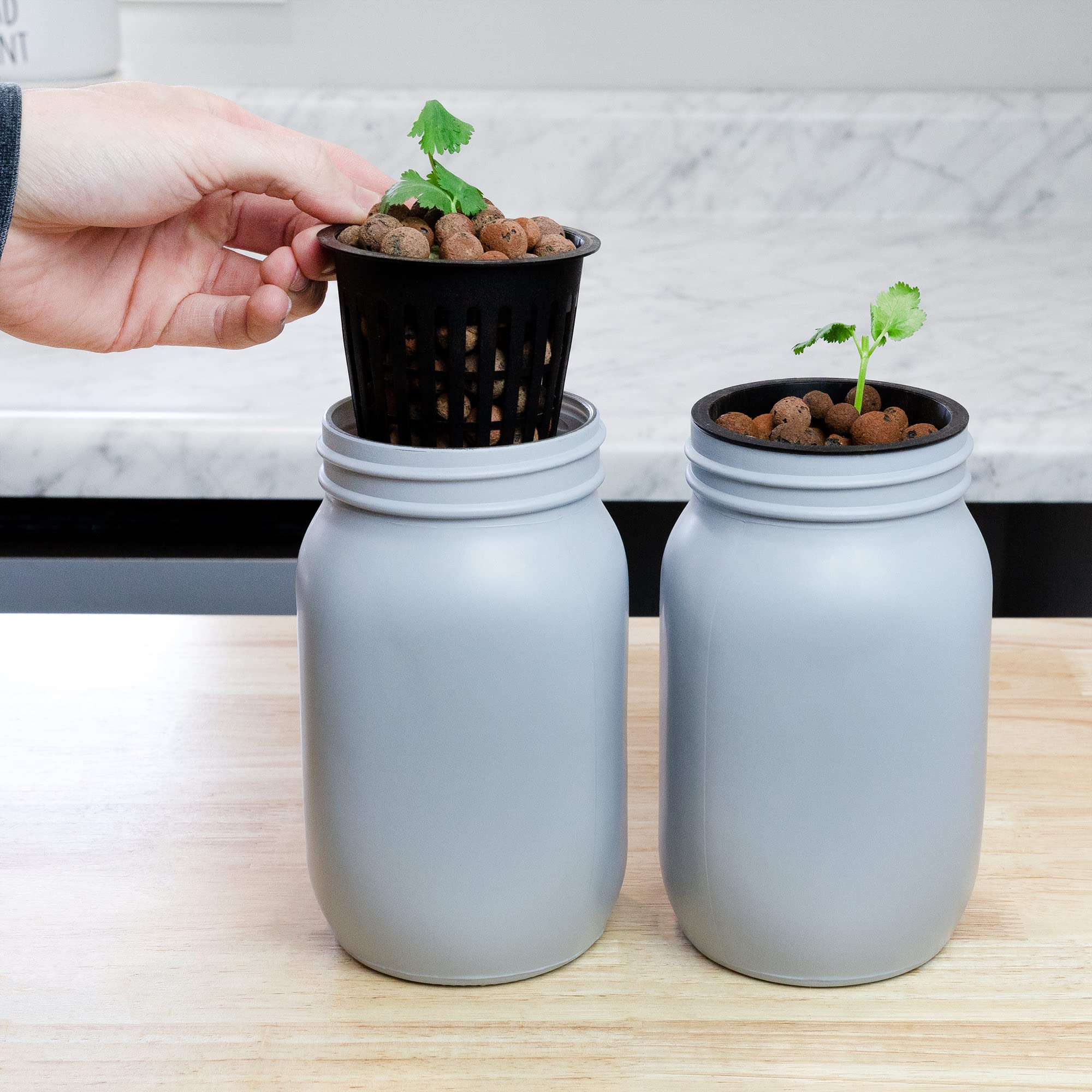 Hydroponic Mason Jar Starter Kit (10-Piece Set); w/Painted Mason Jars, Net Pots, Rockwool, Clay Pebbles and Instructions