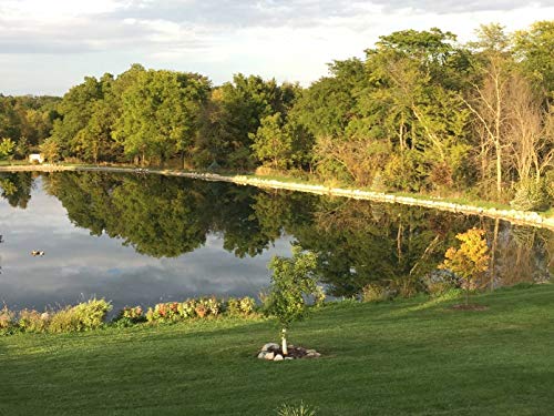 Pond Champs Black Lake & Pond Dye β One Gallon of Deep Black Pond Colorant β Treats 1 Acre β Keeps Pond Safe from UV Rays - Safe for Fish, Wildlife, Pets & Children