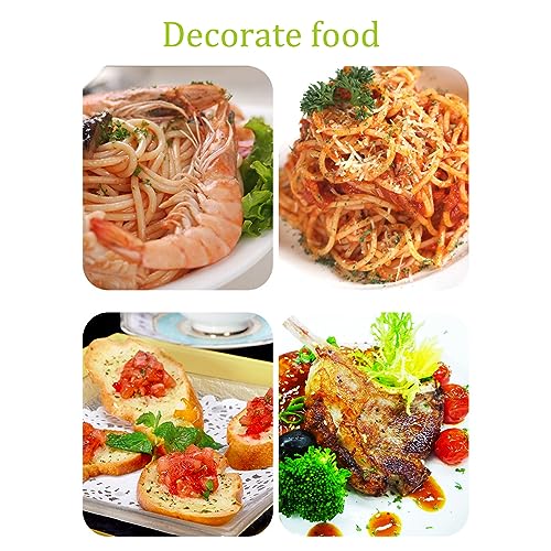 Spice Grinder Manual Herb Grinder Multifunctional Seeds Grinder with Stainless Steel Cutter Portable Grinder Food Mill for Kitchen