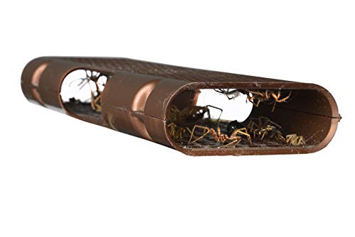 RESCUE! Spider Traps β Catches Brown Recluse, Hobo Spiders, Black Widows & Wolf Spiders - 3 Pack (9 Traps)