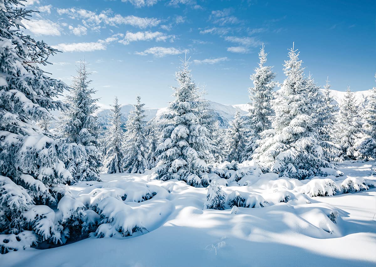 LTLYH 7x5ft Christmas Backdrops for Photography Winter Scene Backdrop Winter Landscape Forest Ice and Snow World Theme Backdrop 106