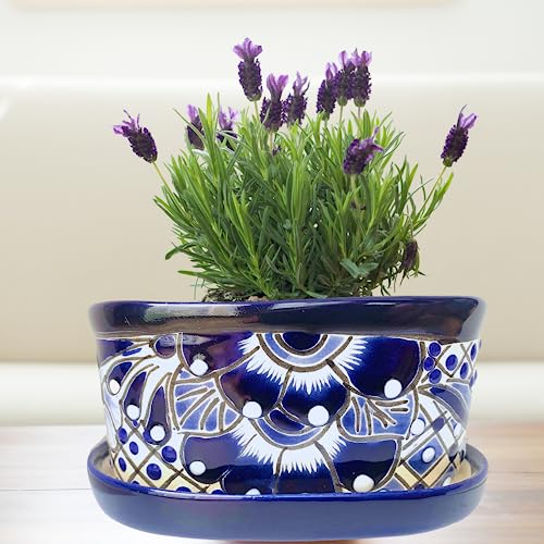 Small Ceramic Pot - Flower Planter with Drainage for Cactus Bonsai Succulents Blue and White Ceramic Pot - Desk Size - Maceta Ceramica Maceta Azul Blanco