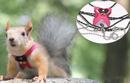 Squirrel Traction Rope Strap Anti-Biting Chain Rope, Adjustable Vest, Small Animal Walking Harness with Lead Leash with Free Collar for Hamster Gerbil Rat Mouse Ferret Chinchilla (Black with Blue)