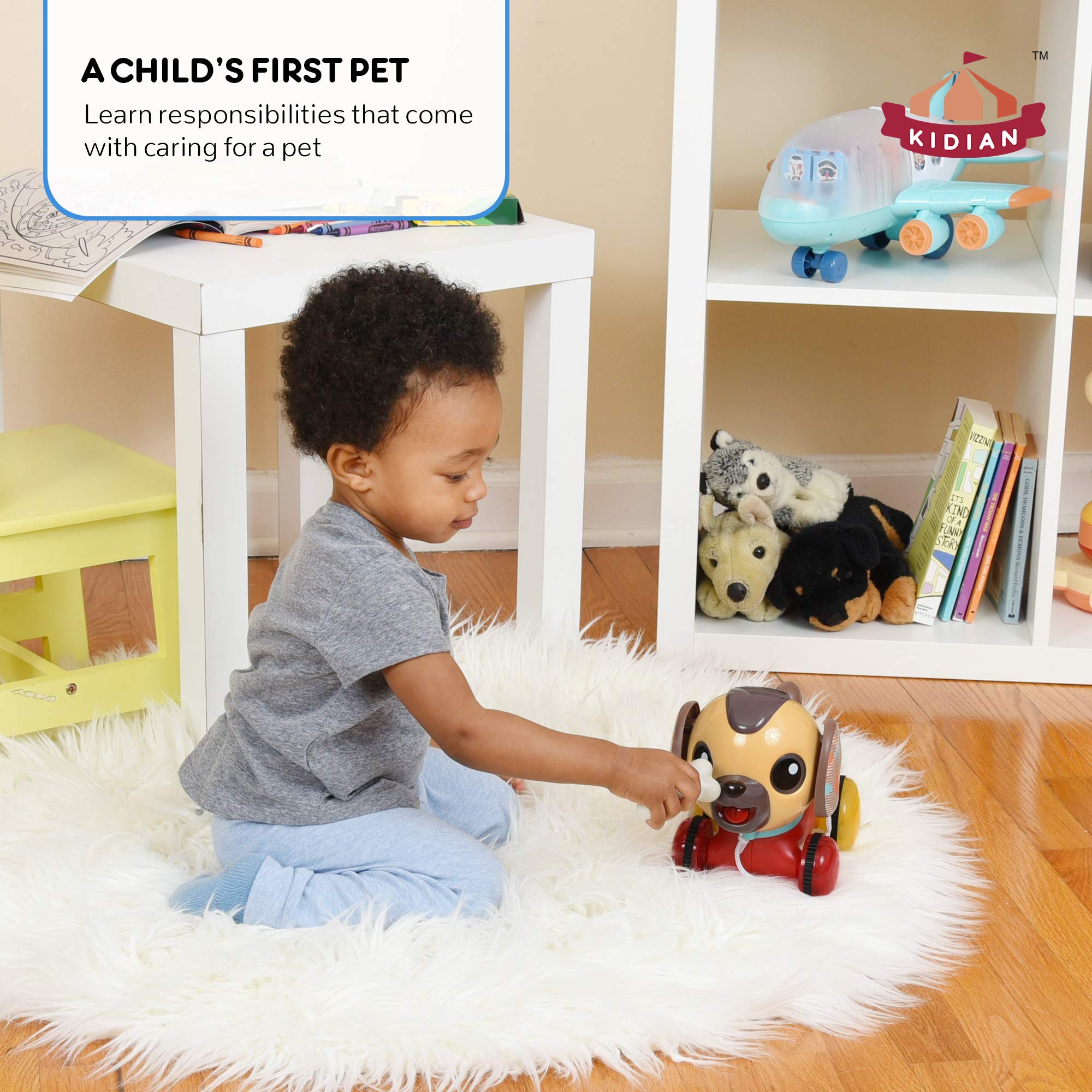 Kidian Toy Dog - Pull Along Dog Toy for Babies and Toddlers, Interactive Pull Along Puppy, Toy Dog for Kids by Flybar (Brown Puppy)